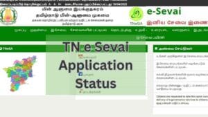 Track TN e Sevai Application Status Online Quickly at tnesevai.tn.gov ...